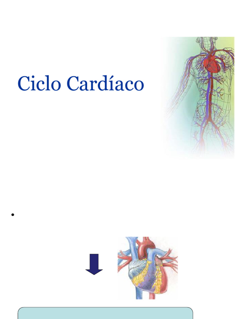 Entendendo o Ciclo Cardíaco e Condução | PDF | Coração | Átrio (coração)