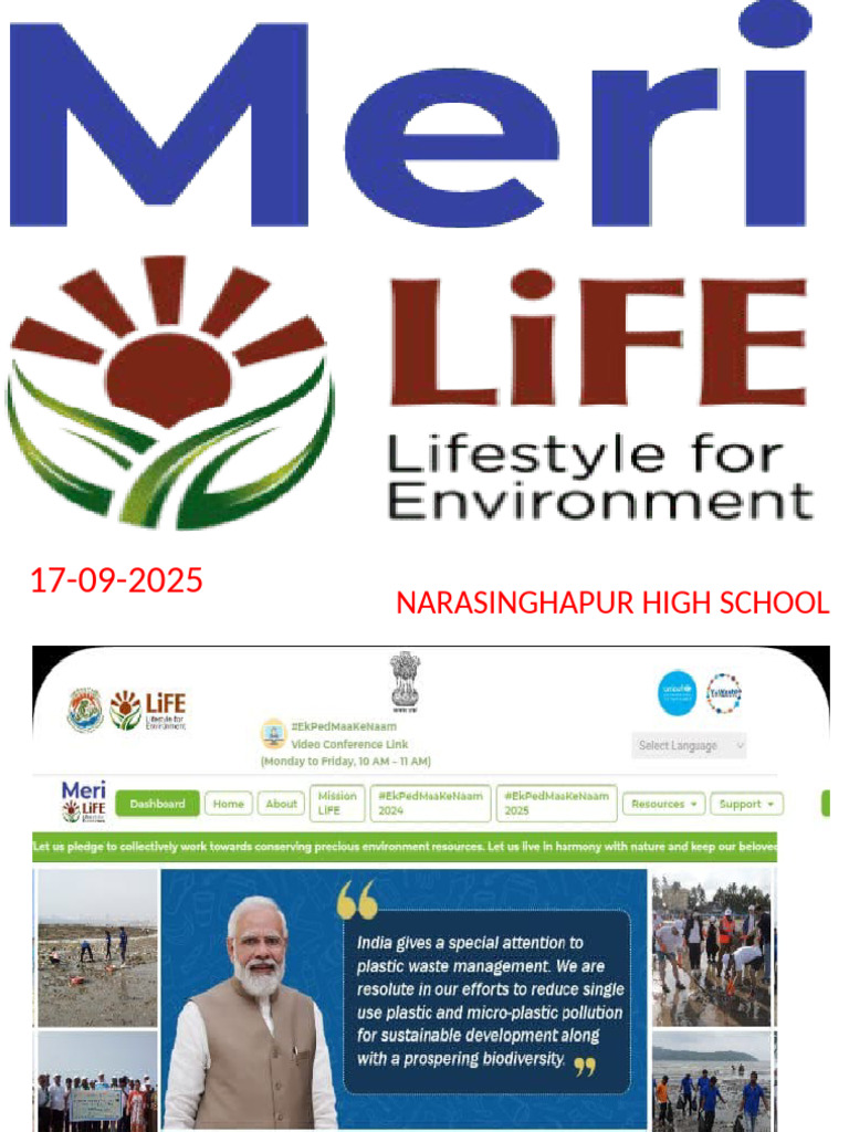 Meri Life | PDF