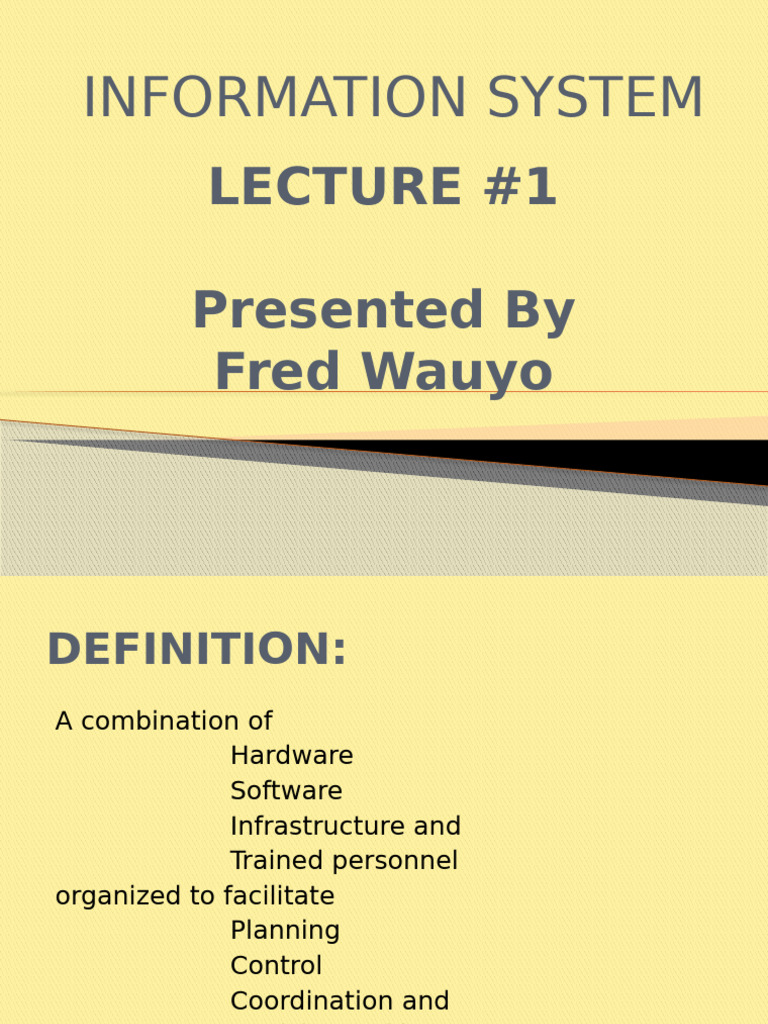 Introduction To Information Systems 2020 | PDF