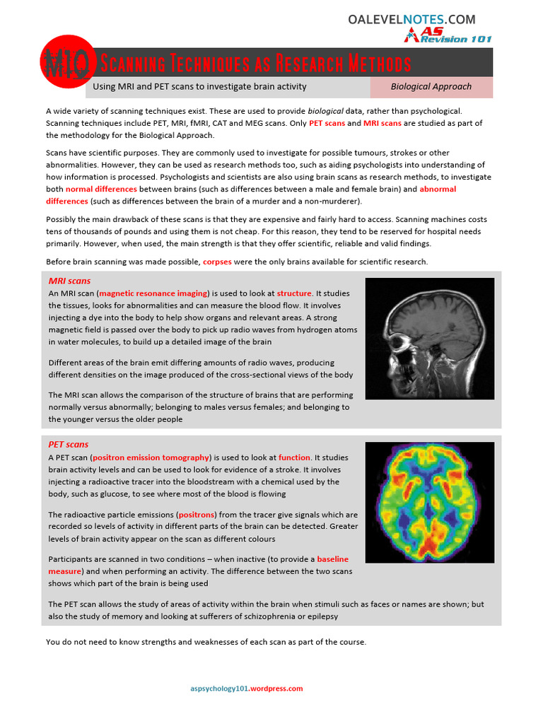 m10 Scanning Techniques As Research Methods | PDF | Positron Emission ...
