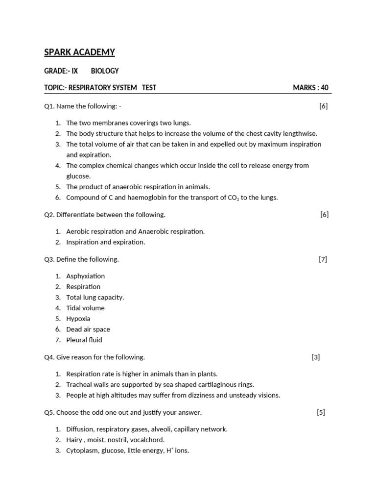 Grade IX Biology: Respiratory System Test | PDF | Respiratory System | Lung