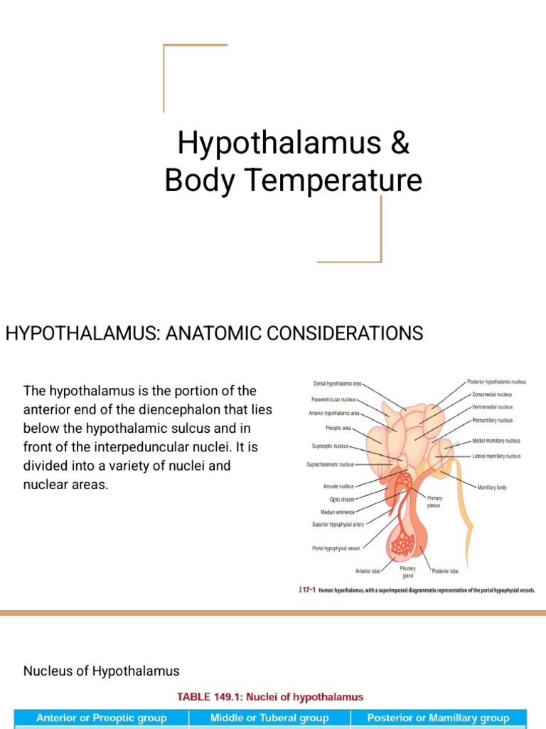 Hypothalamus & Body Temperature - 123510 - 011439 | PDF ...