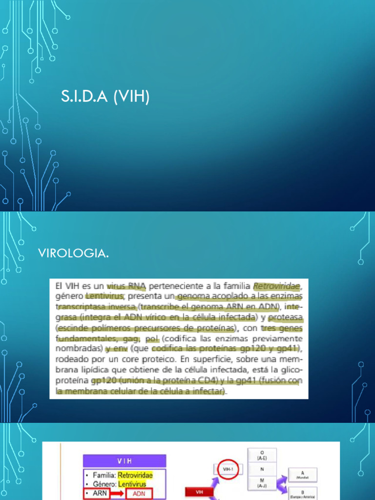 Guía Completa sobre VIH y SIDA | PDF