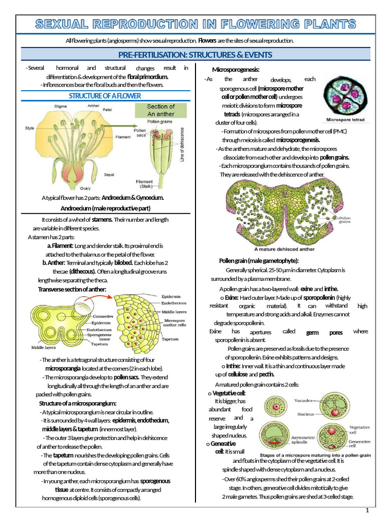 Flower Structure and Reproductive Processes | PDF | Seed | Flowers
