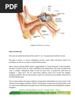 Gr.12 Life Sciences The Ear | PDF | Ear | Auditory System
