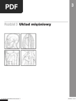 Anatomia Swini Atlas Interaktywny | PDF