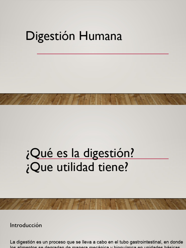 Proceso y Funciones de la Digestión Humana | PDF | Digestión | Sistema ...
