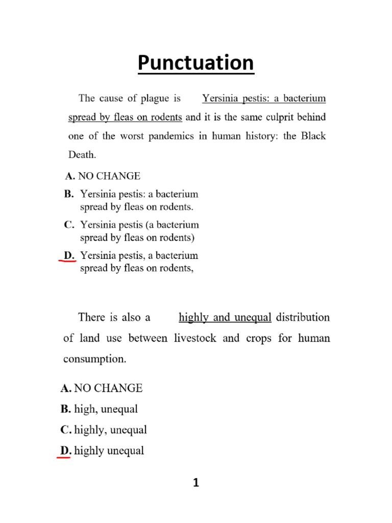 Punctuation 1 - Key | PDF