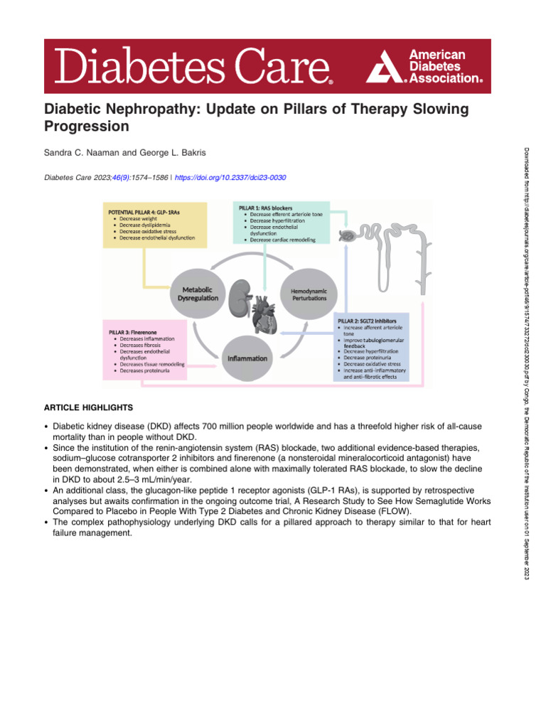 Diabetic Nephropathy Update On Pillars of Therapy Slowing | PDF ...