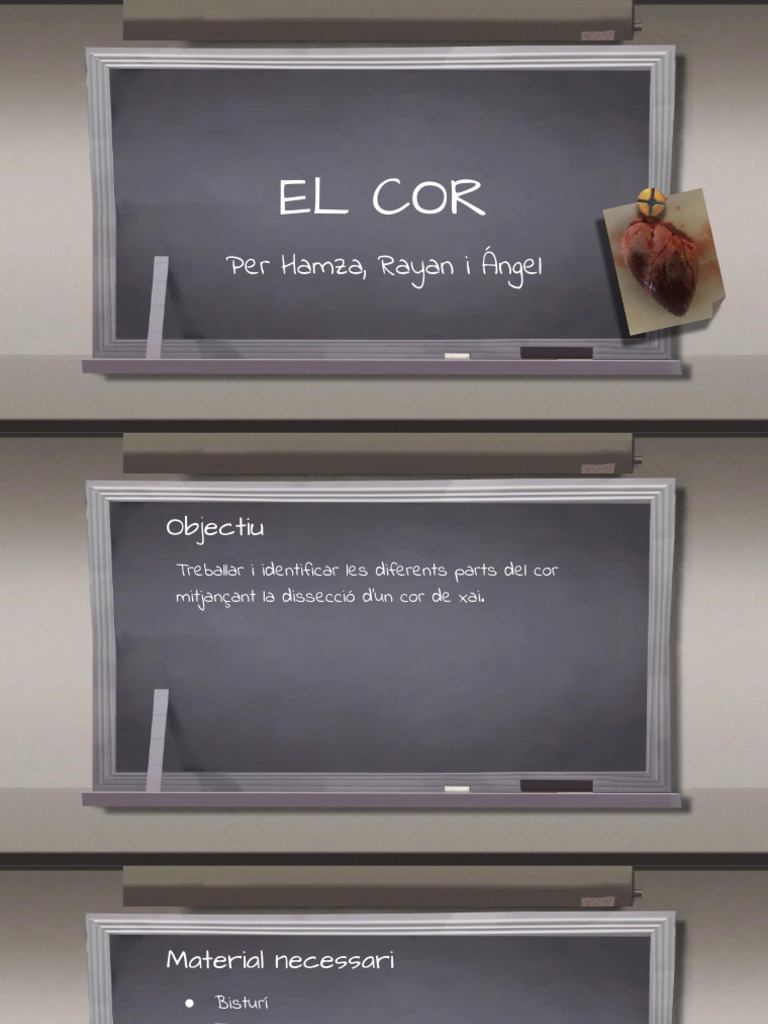 El Cor | PDF