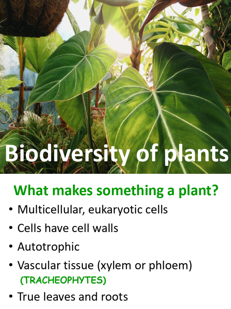 Biodiversity of Plants 2025 | PDF | Plant Reproduction | Sexual ...