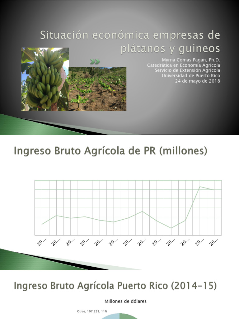 2018 Situacion Economica Platanos y Guineos 2018 | PDF | Economias ...