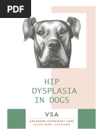 Ehmer Sling Application in Dogs | PDF | Hip | Skeletal System