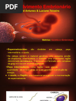 1 A 8 Semana Do Desenvolvimento Embrionário | PDF | Morfologia (Biologia) | Anatomia