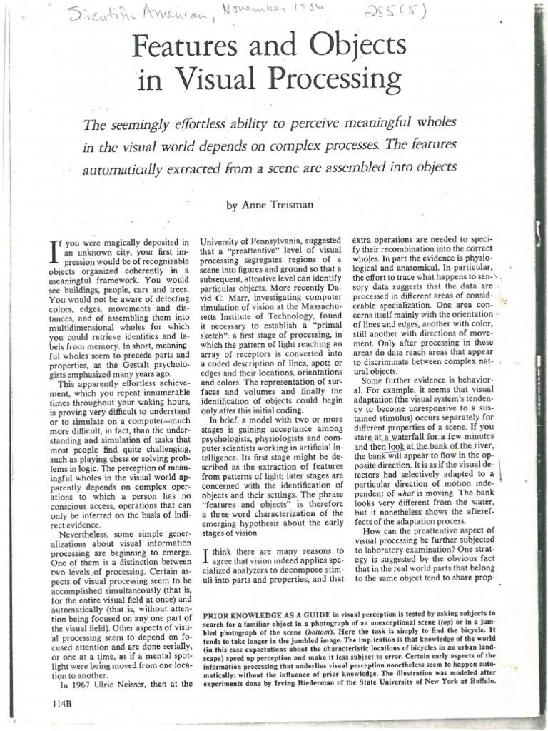 Treisman | PDF
