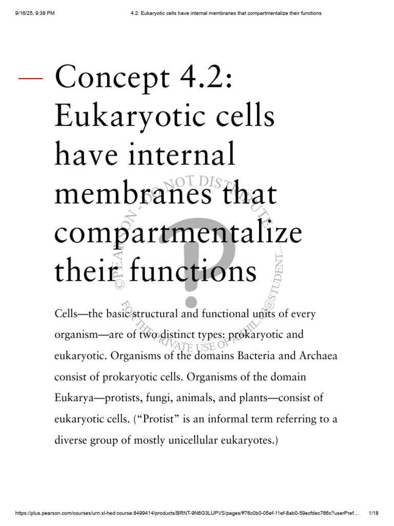 4.2 - Eukaryotic Cells Have Internal Membranes That Compartmentalize ...