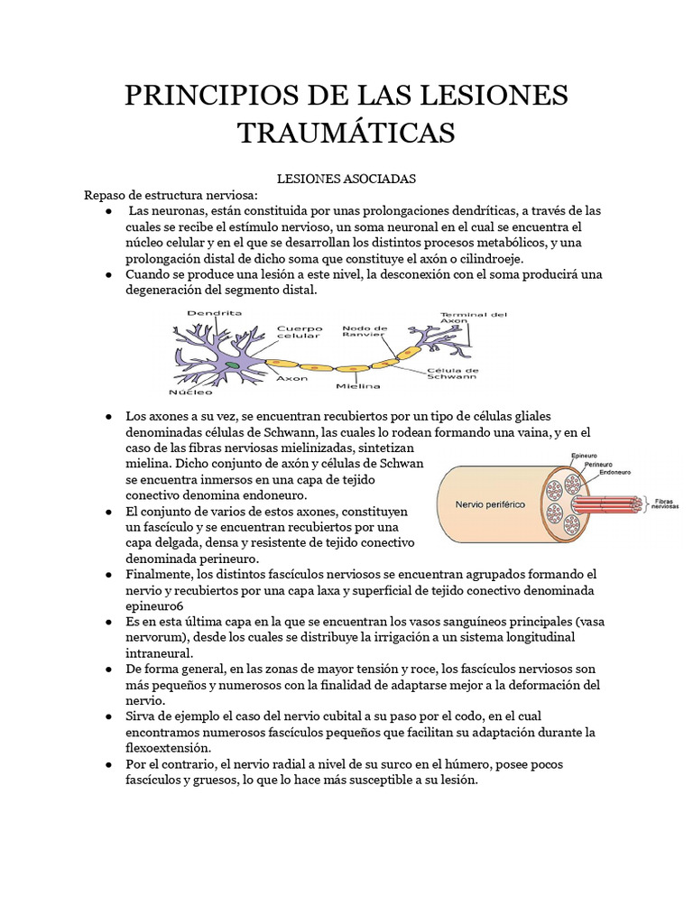 Lesiones Traumáticas y su Tratamiento | PDF | Nervio | Axon