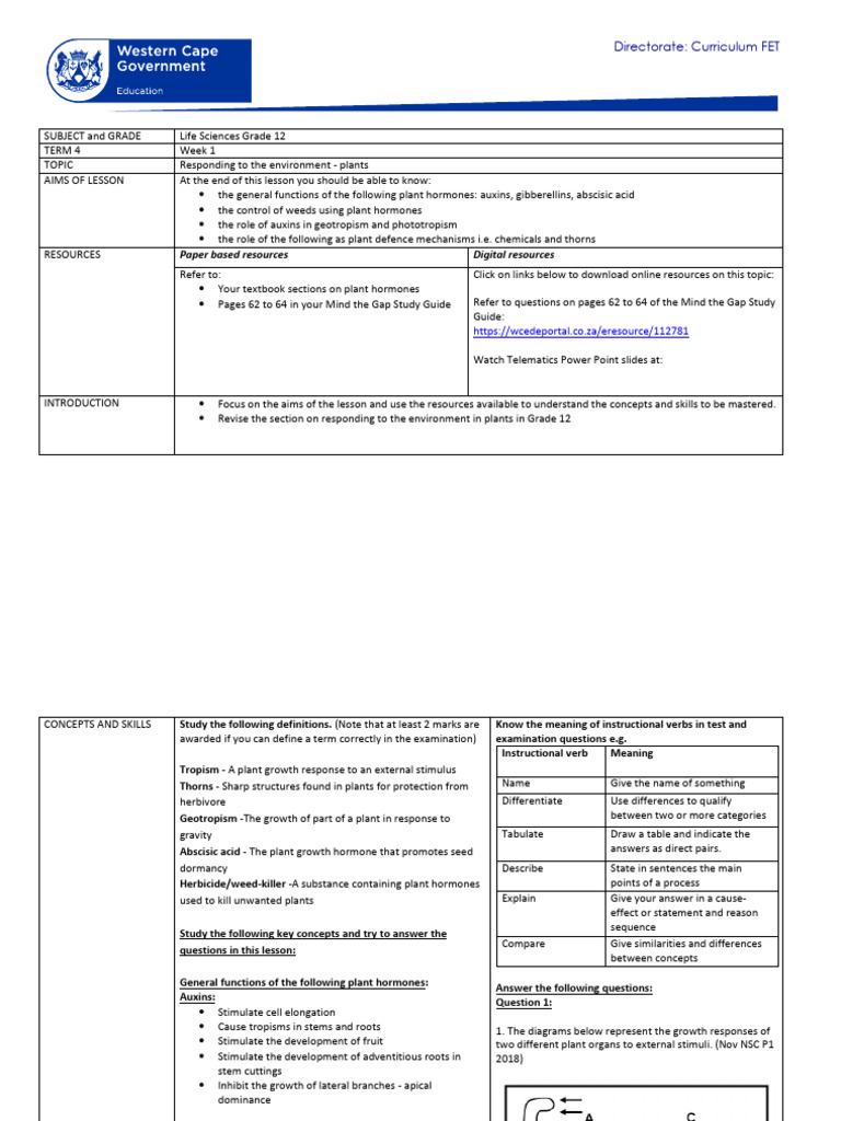 Plant Hormones: Grade 12 Q&A Guide | PDF | Auxin | Plant Hormone