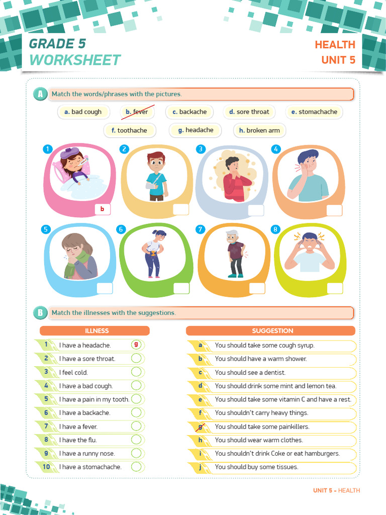 Grade 5 Health Worksheet Answers | PDF