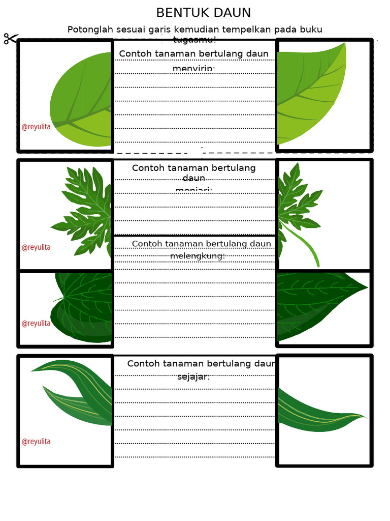 Contoh Tanaman Daun Bertulang | PDF