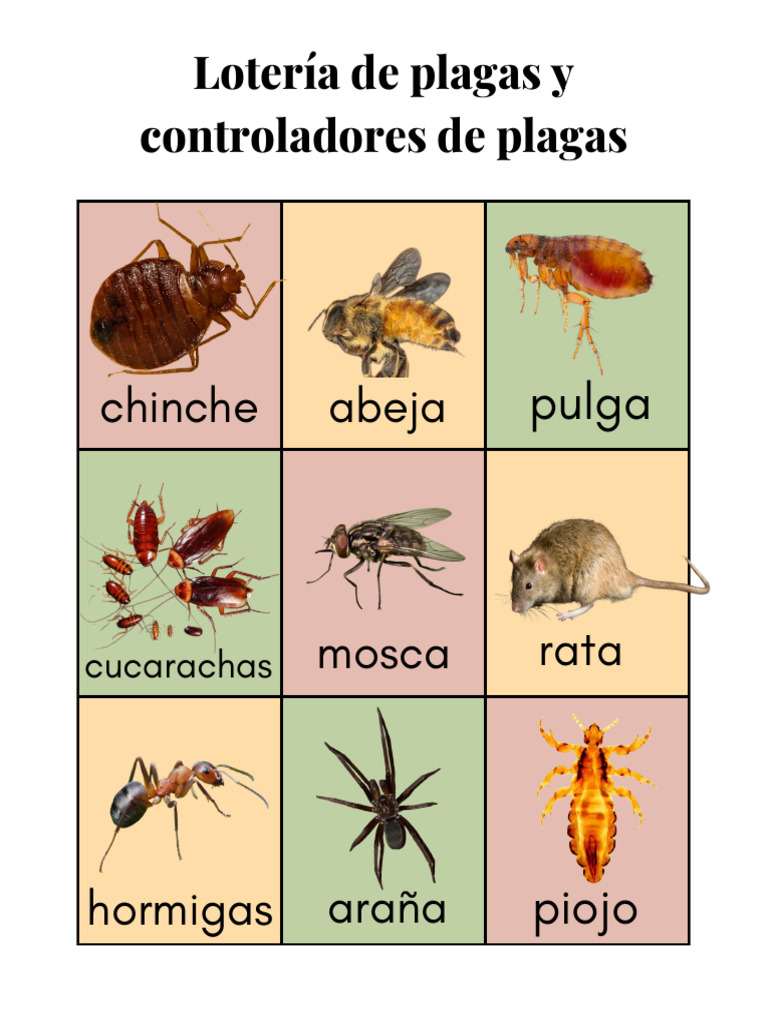 Control de Plagas en el Hogar | PDF