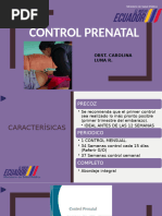 Carnet Del Embarazo | PDF