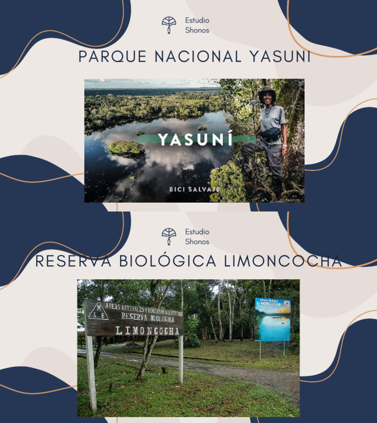 Parque Nacional Yasuni | PDF