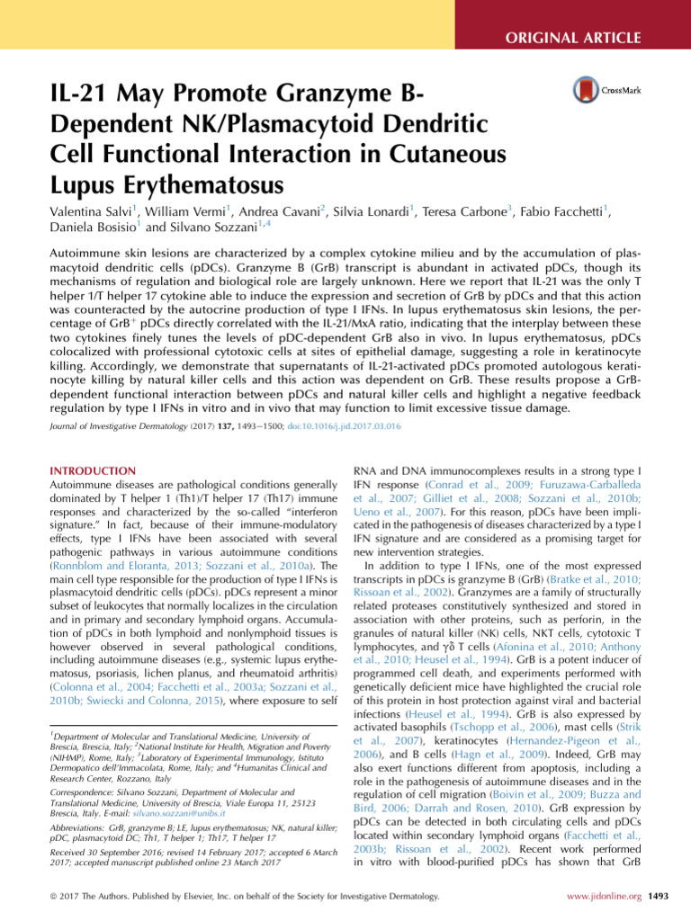 IL 21 May Promote Granzyme B Dependent NK Plasmacy | PDF | Natural ...
