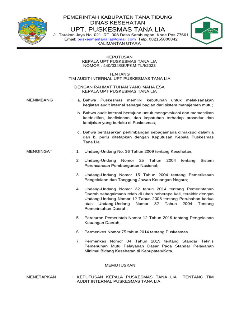 SK Tim Audit Internal | PDF