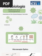 Cultivo de Exudado Nasal y Staphylococcus aureus | PDF
