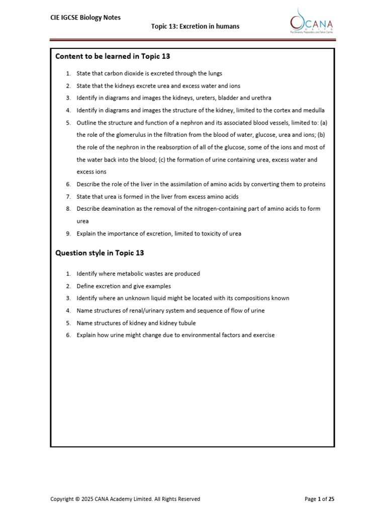 Human Excretion: IGCSE Biology Guide | PDF | Kidney | Urinary System