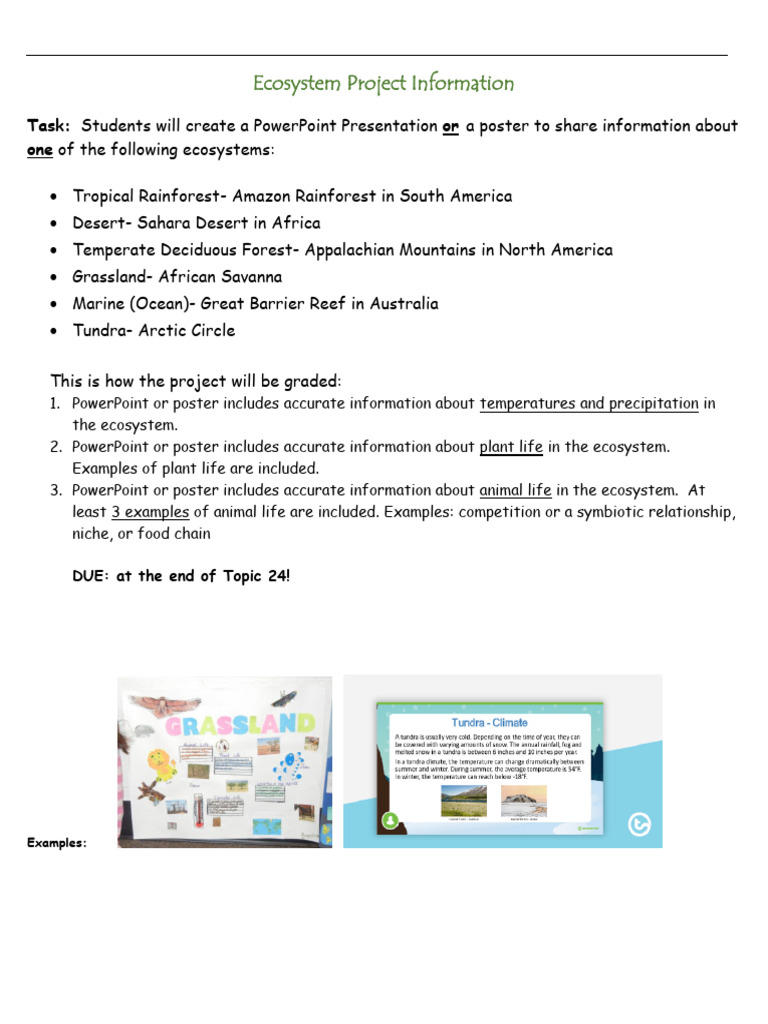 Ecosystem Project Guidelines for Students | PDF