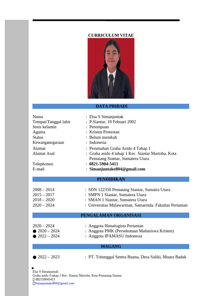 CV Elsa Simanjuntak 2025 | PDF