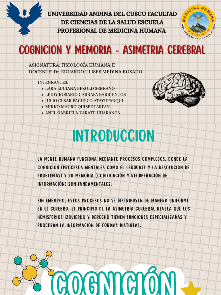 Cognición y Memoria: Asimetría Cerebral | PDF | Hemisferio cerebral ...