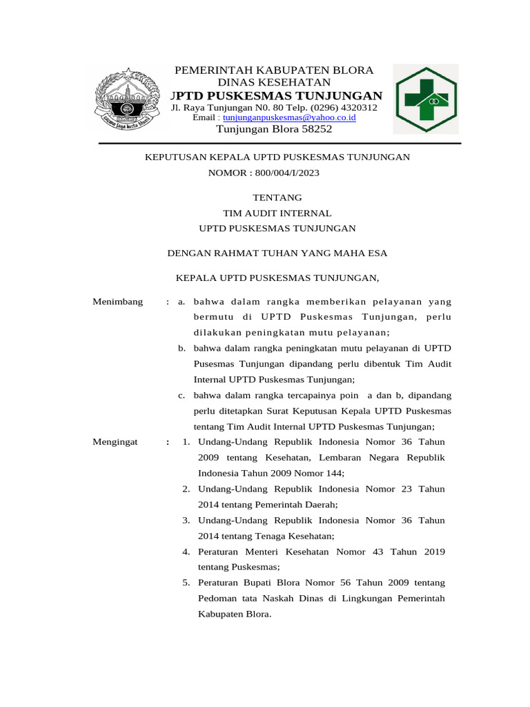 Tim Audit Internal Puskesmas Tunjungan | PDF