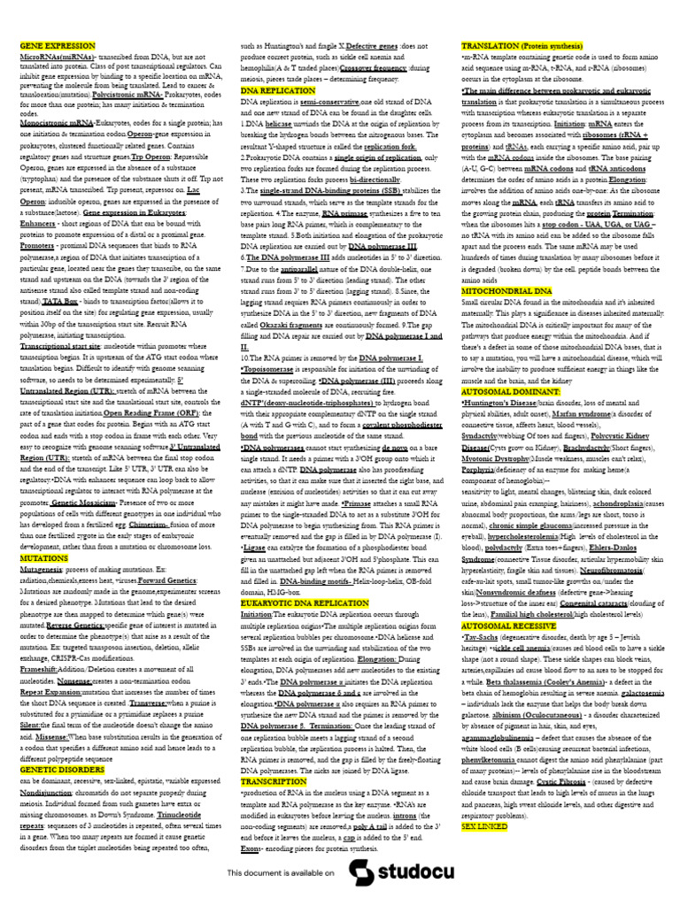 Designer Genes Study Guide | PDF | Gene | Dna