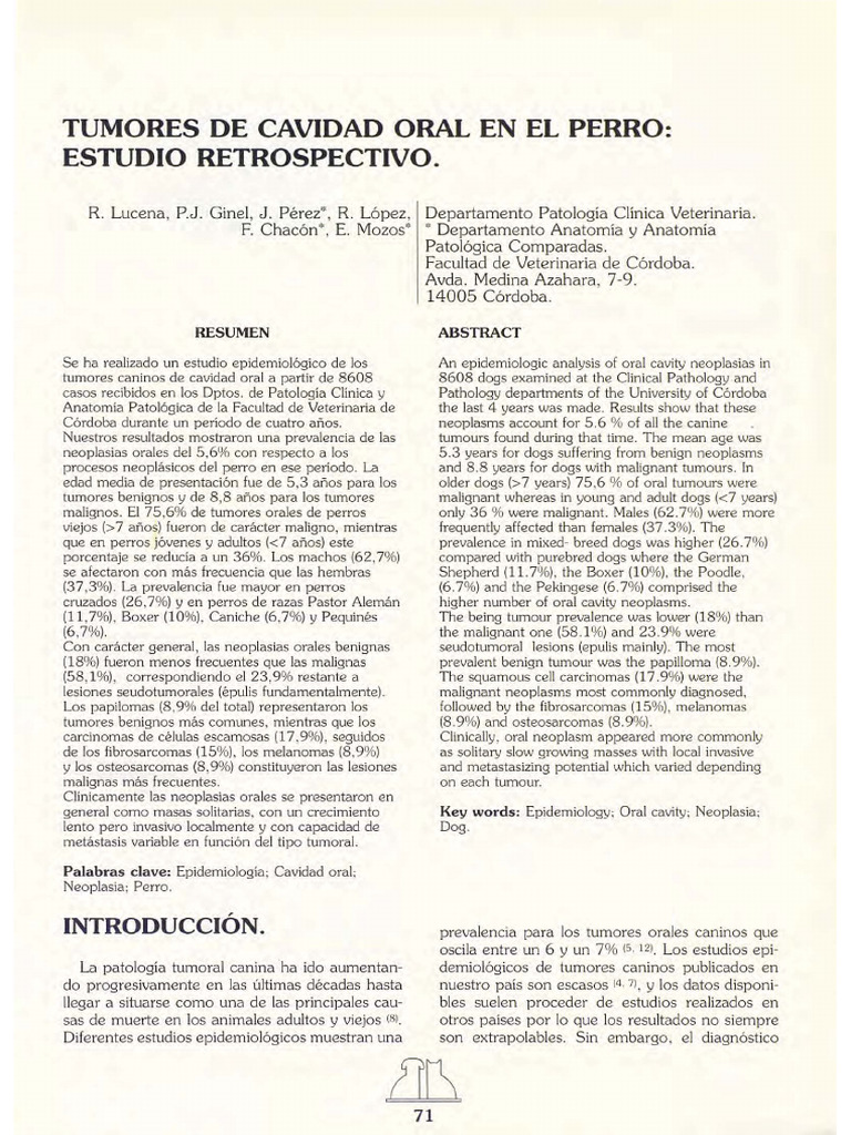 Tumores Perros en Cavidad Oral | PDF | Metástasis | Neoplasias