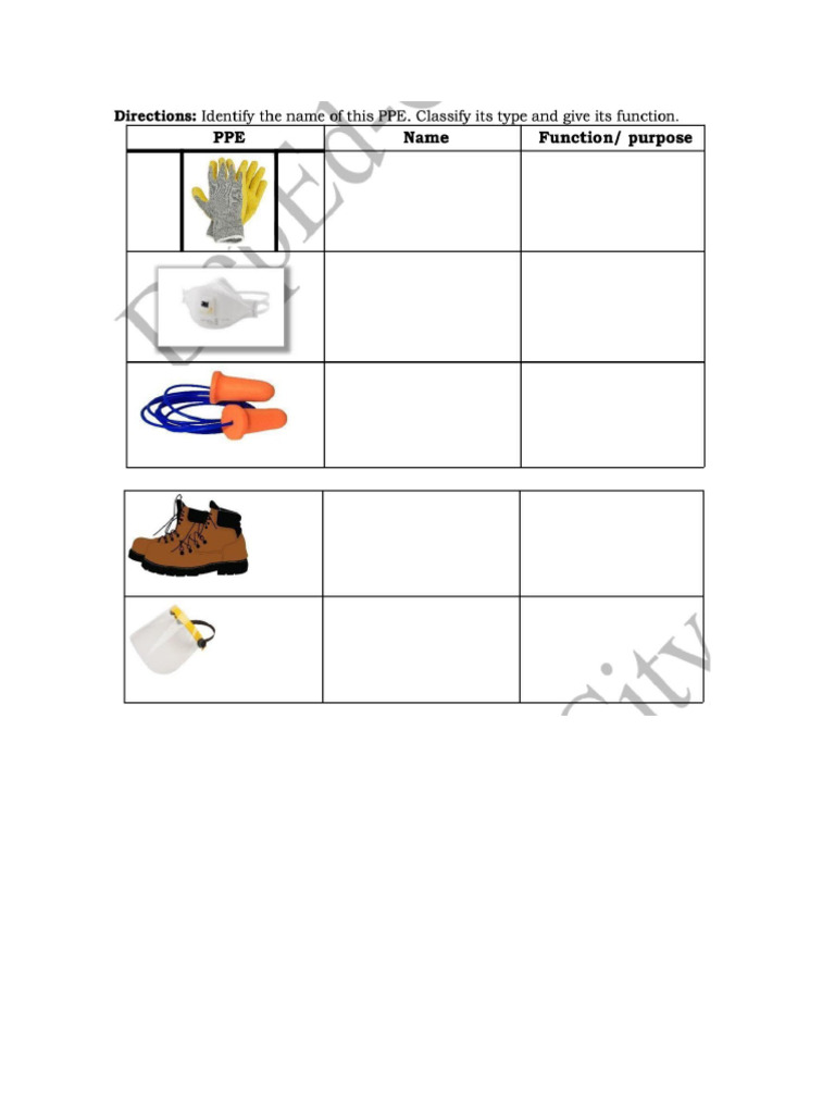 PPE Activity | PDF