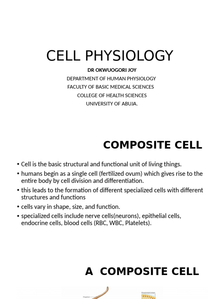 Understanding Composite Cells | PDF | Cell Membrane | Cell (Biology)