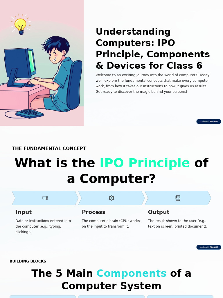 Understanding Computers IPO Principle Components and Devices for Class ...