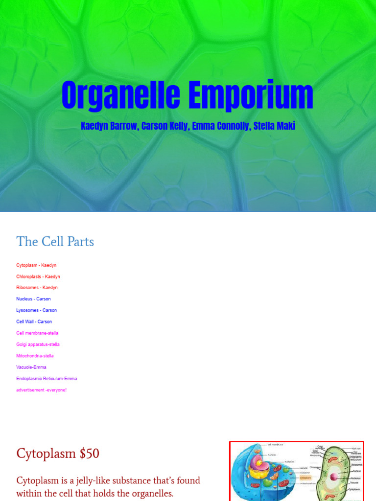 Cell Organelle Catalog Project | PDF | Cell (Biology) | Chloroplast