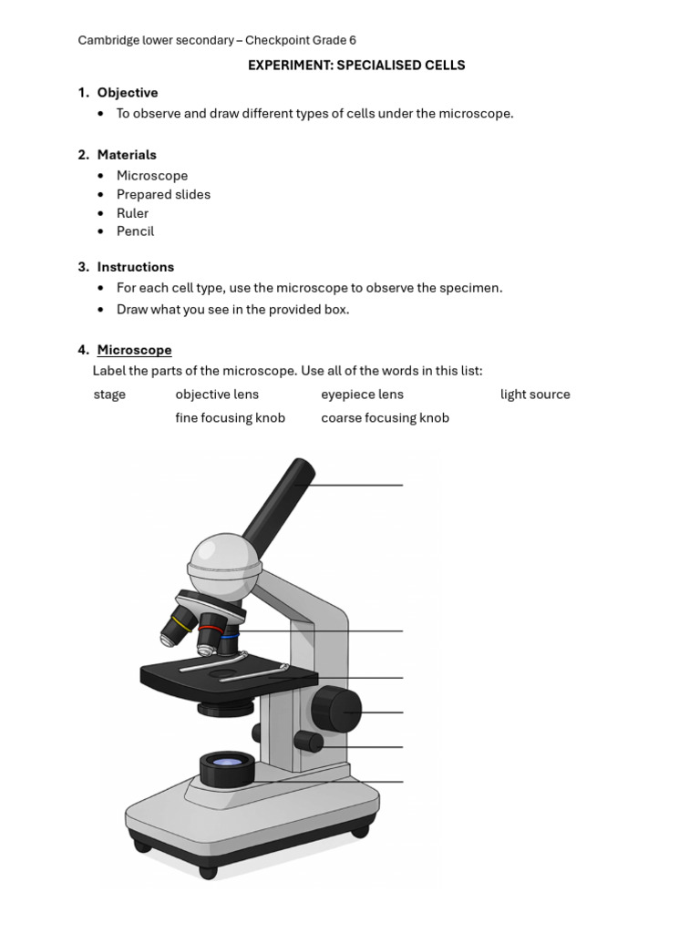 Grade 6 Specialized Cell Experiment | PDF | Microscope ...