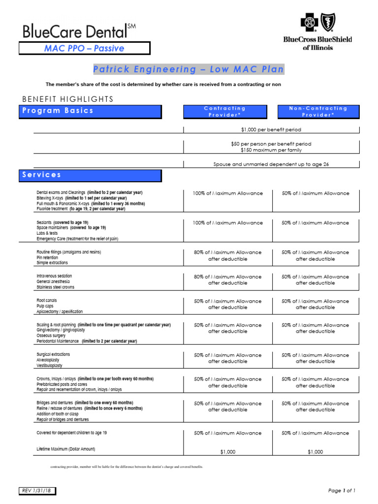 BCBS Dental B Plan Highlights 2024 | PDF | Dentistry | Dentistry Branches