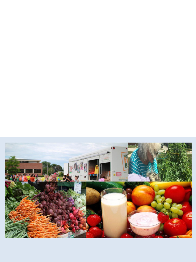 Boone County Food Security Plan 2022-2027 | PDF | Food Security | Hunger