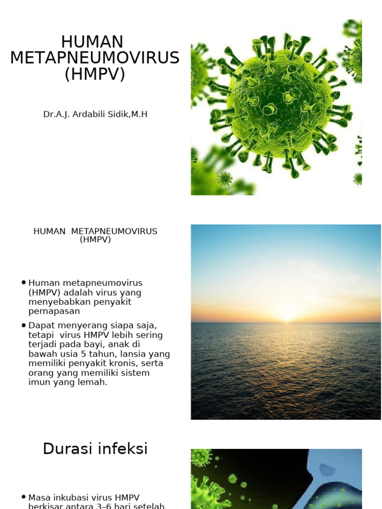 HMP Virus PPT | PDF