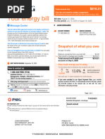 Sample Natural Gas Bill Format | PDF | Gases | Natural Gas