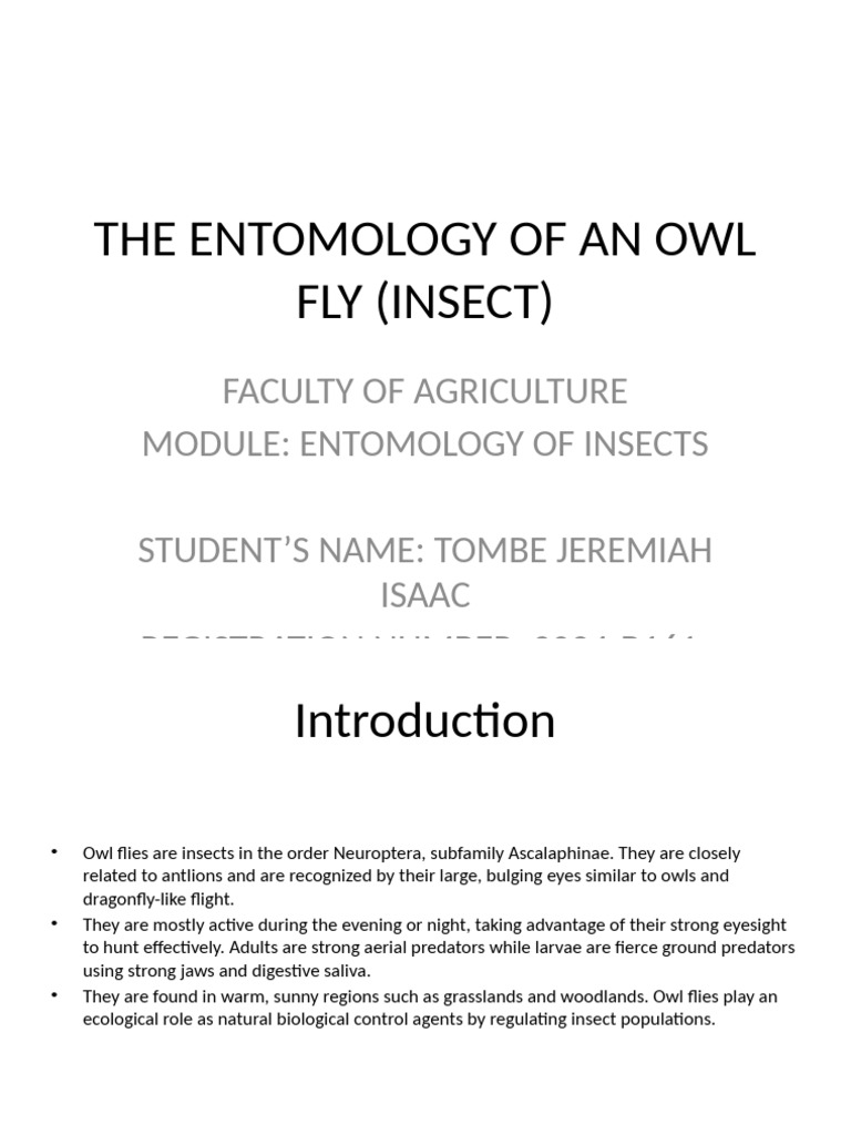 Entomology of Owl Flies: Insights and Roles | PDF | Insects | Predation