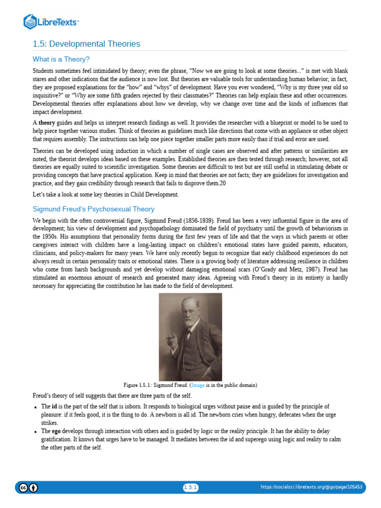 Key Child Development Theories Explained | PDF | Reinforcement ...