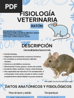 Anatomía y Cuidados de la Rata Wistar | PDF