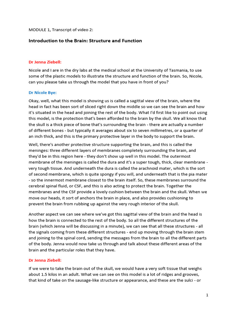 Module1 Video2 Introduction To The Brainstructure and Function | PDF ...